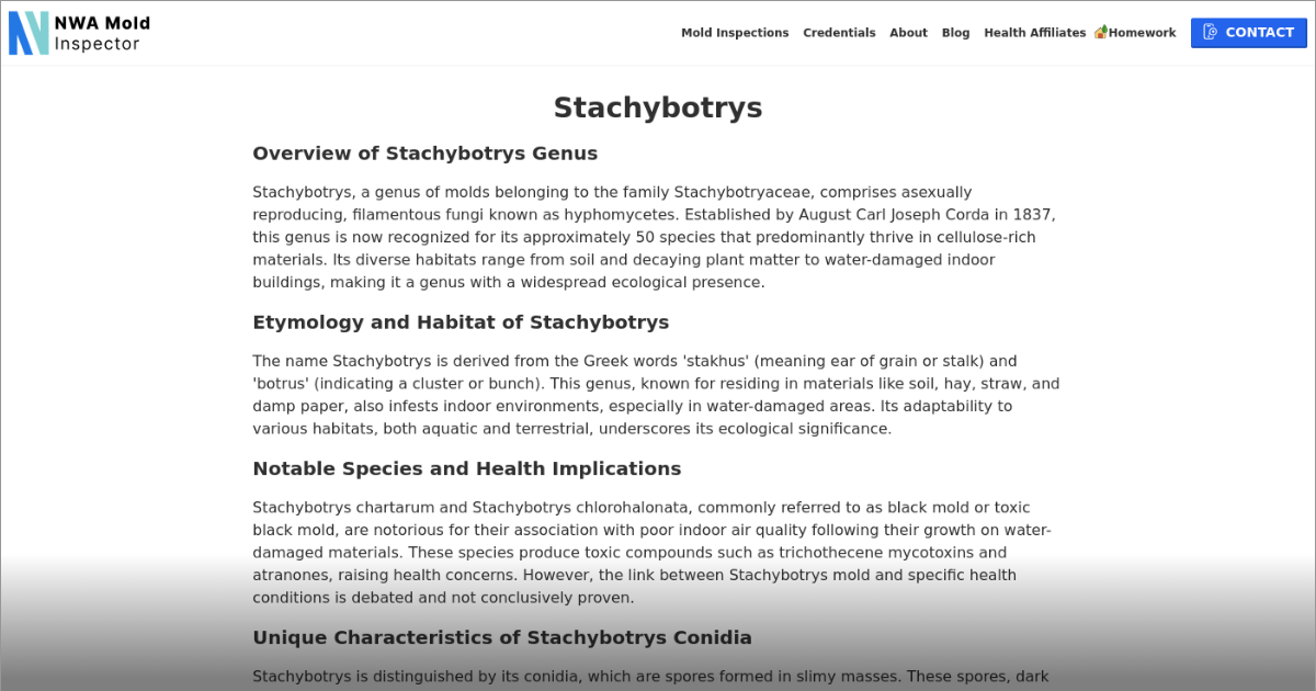 Stachybotrys | Black Mold | Arkansas | NWA Mold Inspector